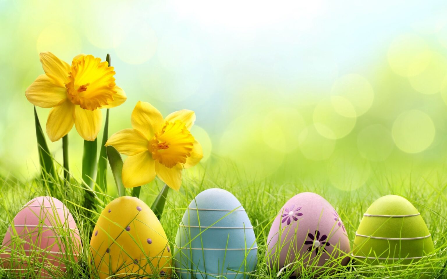 16 Easter Backgrounds for Zoom, Teams & Skype - Funny Meeting Backgrounds