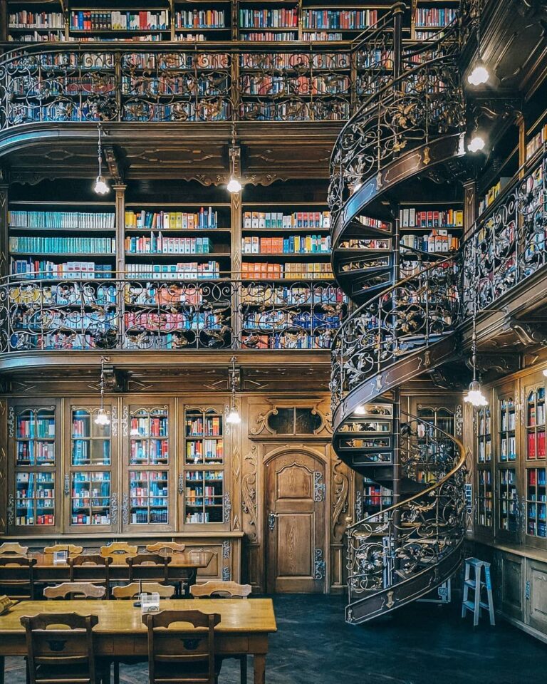 17 Professional Library Backgrounds for Zoom Teams or Skype - Funny ...