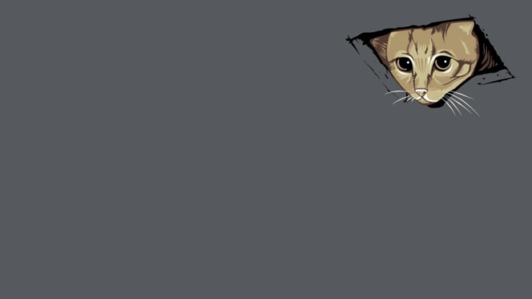 39 Cute Crazy Cat Zoom Teams Backgrounds - Funny Meeting Backgrounds