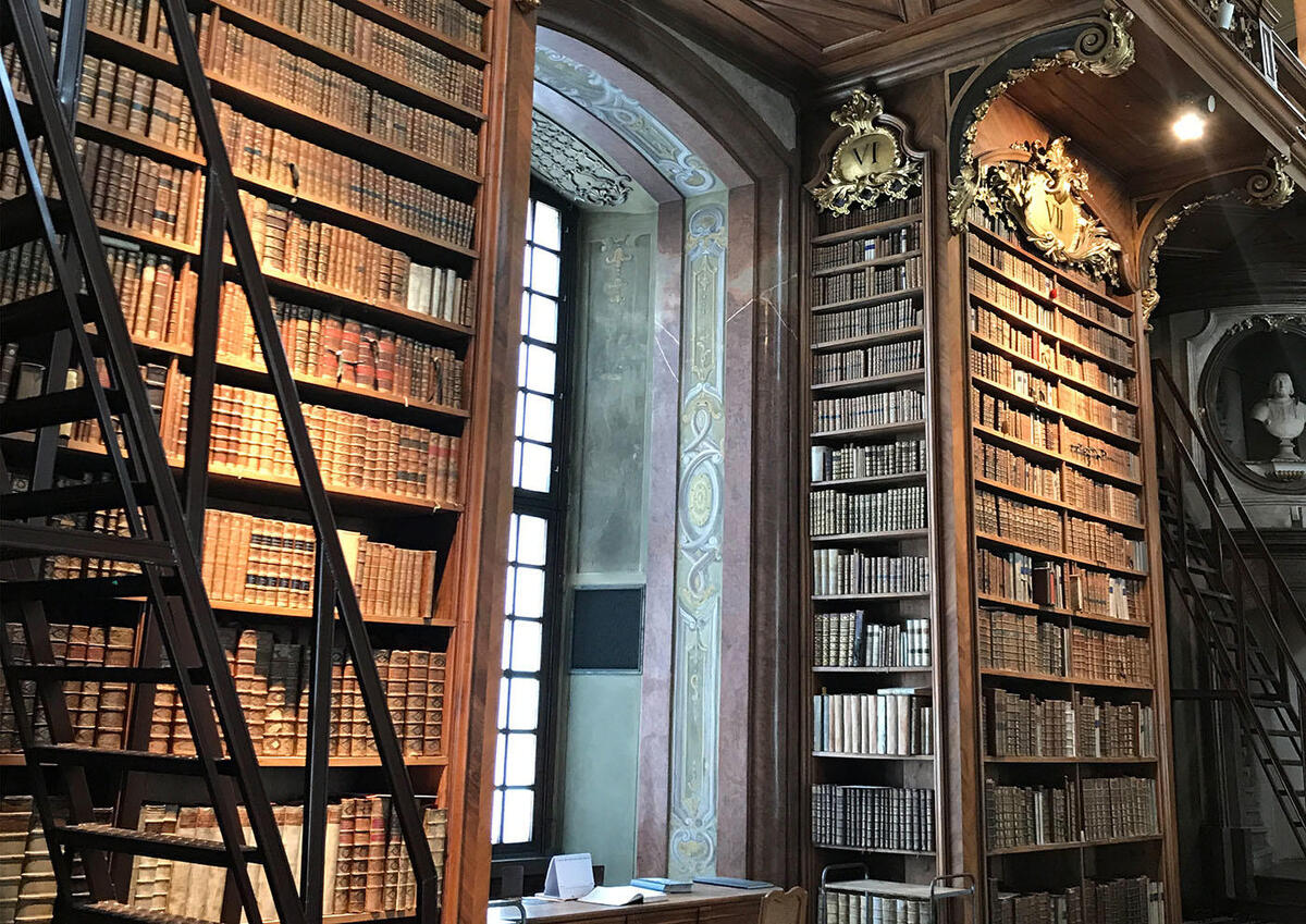 17 Professional Library Backgrounds for Zoom Teams or Skype - Funny ...