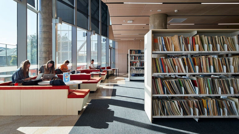 17 Professional Library Backgrounds for Zoom Teams or Skype - Funny ...