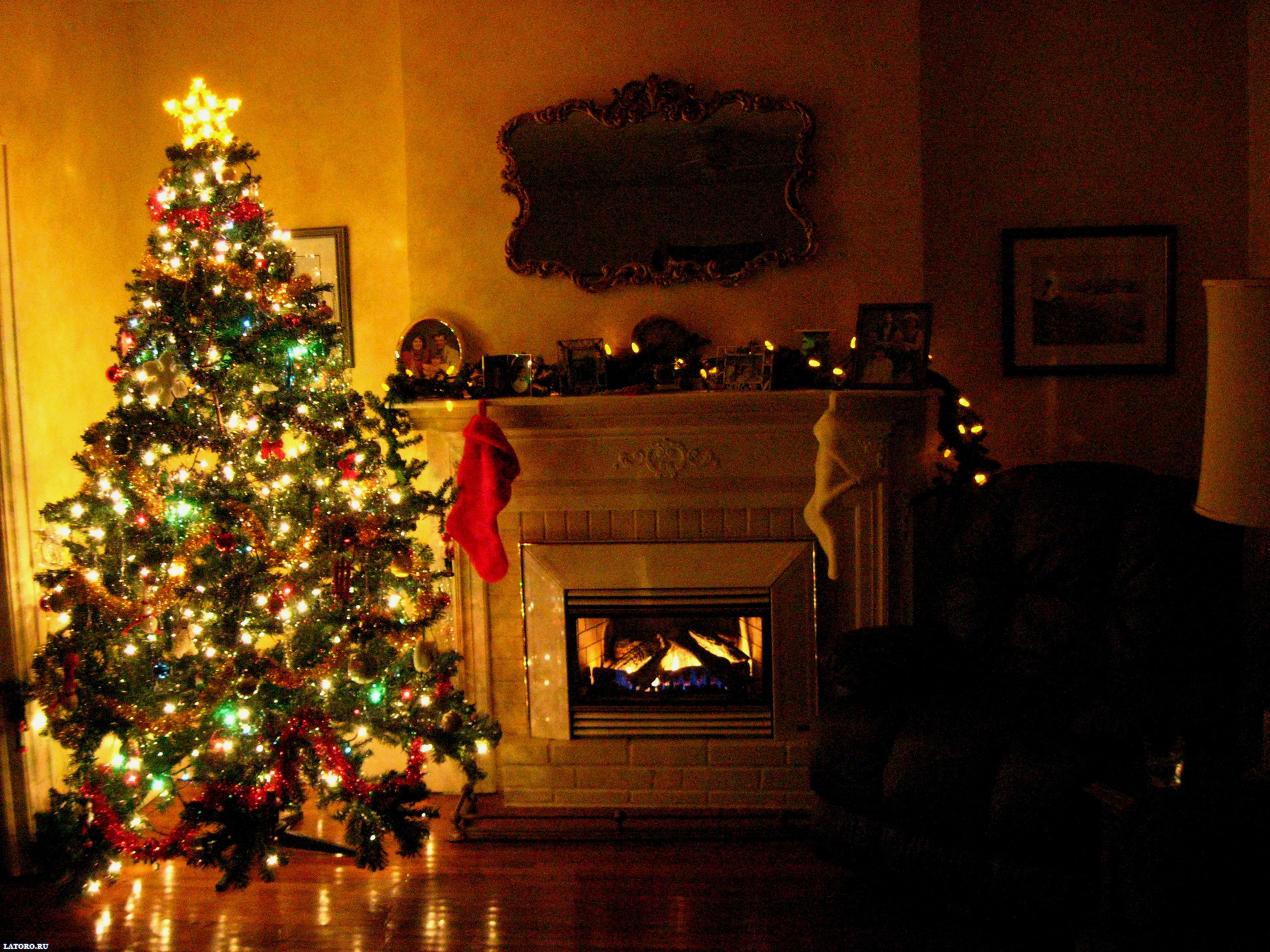 30+ Festive Christmas Tree Meeting Backgrounds for Zoom & Teams - Funny ...