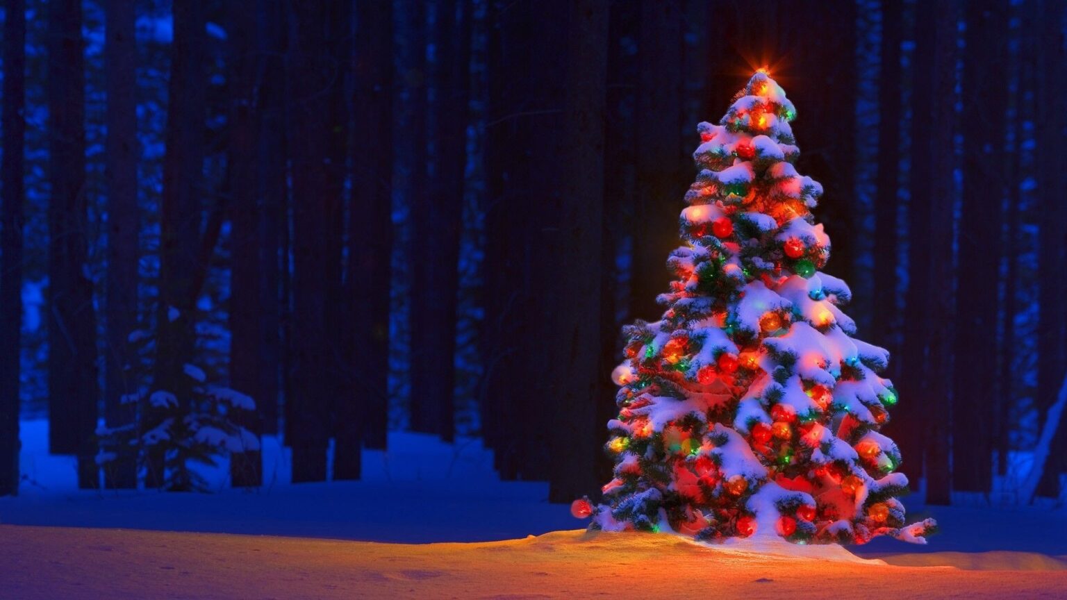30+ Festive Christmas Tree Meeting Backgrounds for Zoom & Teams - Funny ...