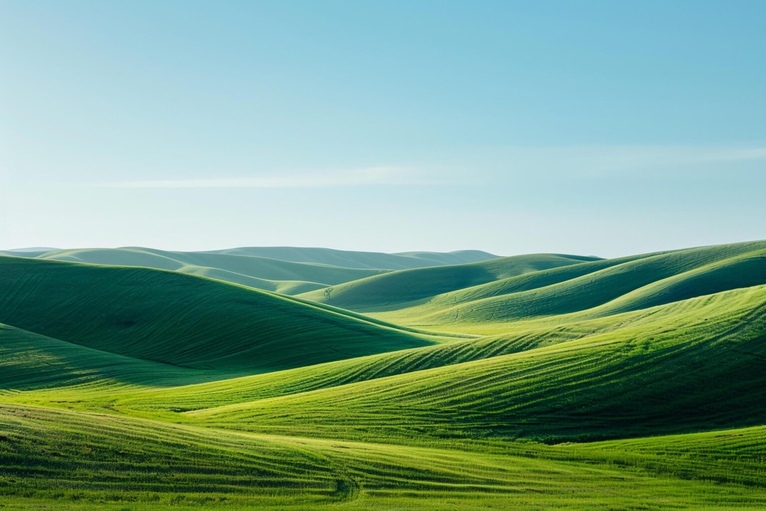 Nature Calls: 12 Earth Day Meeting Backgrounds - Funny Meeting Backgrounds